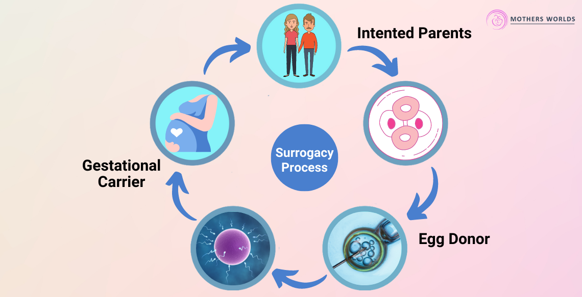 Surrogacy - mother