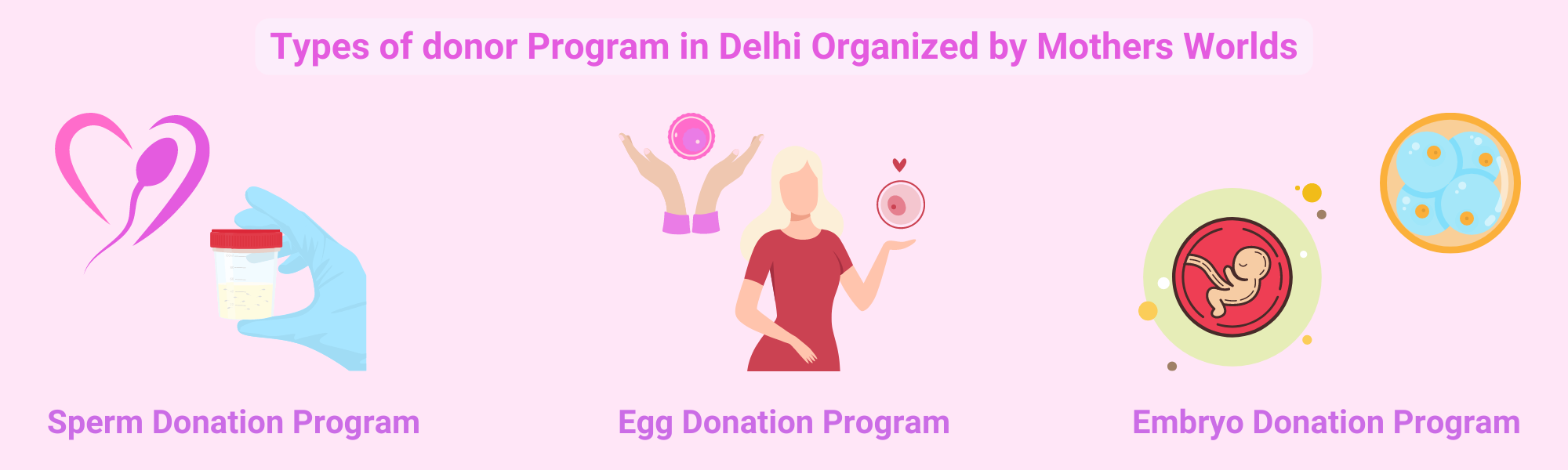 Donor Program | Sperm | Egg | Embryo Donation.